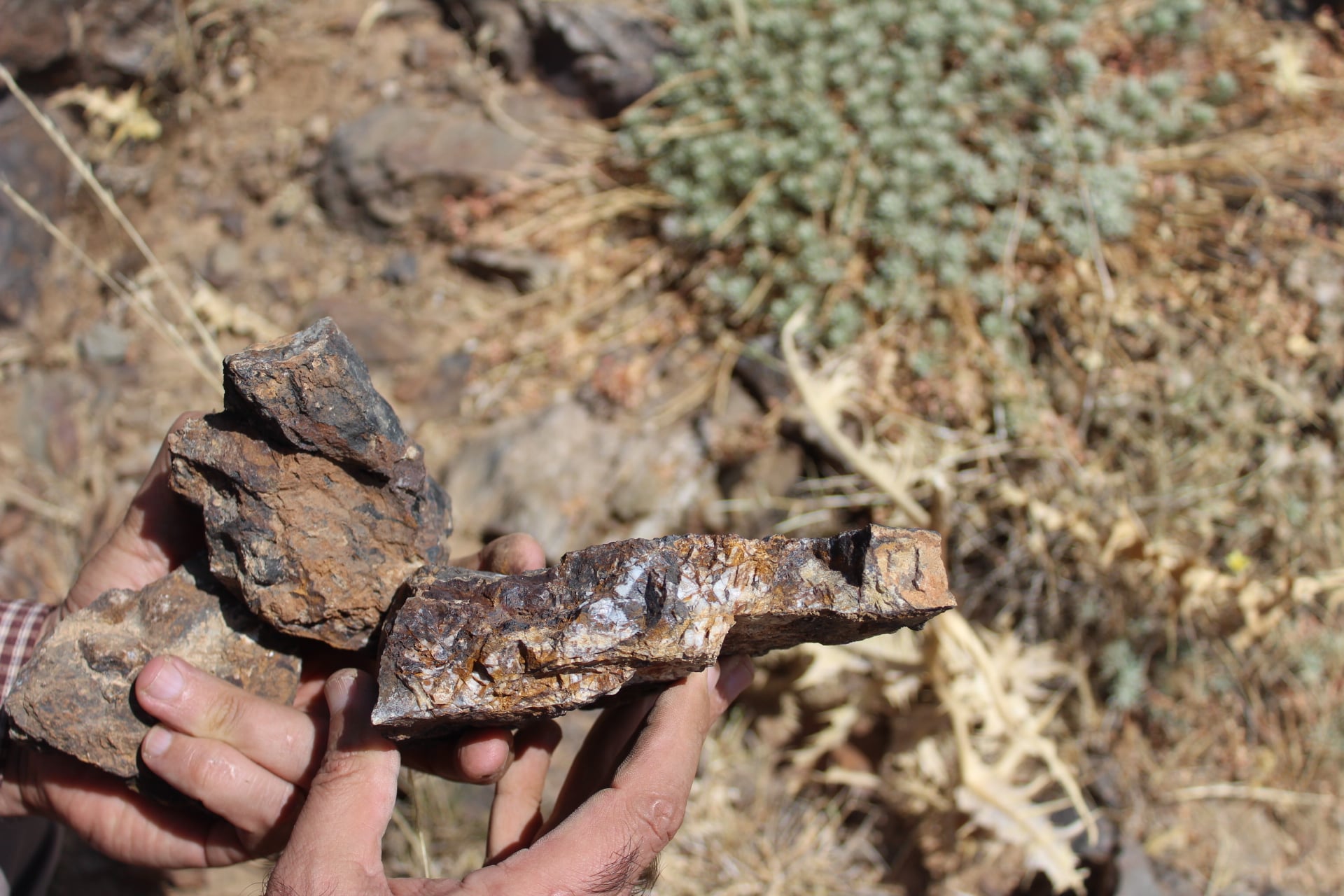 Markazi polymetal Mine (Metal Deposits) – Gostaresh Steel Industries Co